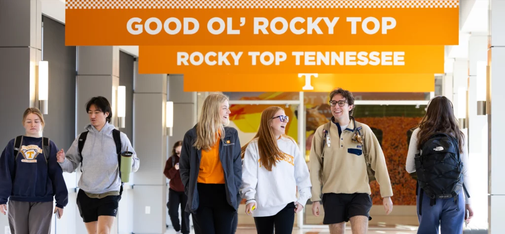 Graduate Programs - Counseling, Human Development, and Family Science