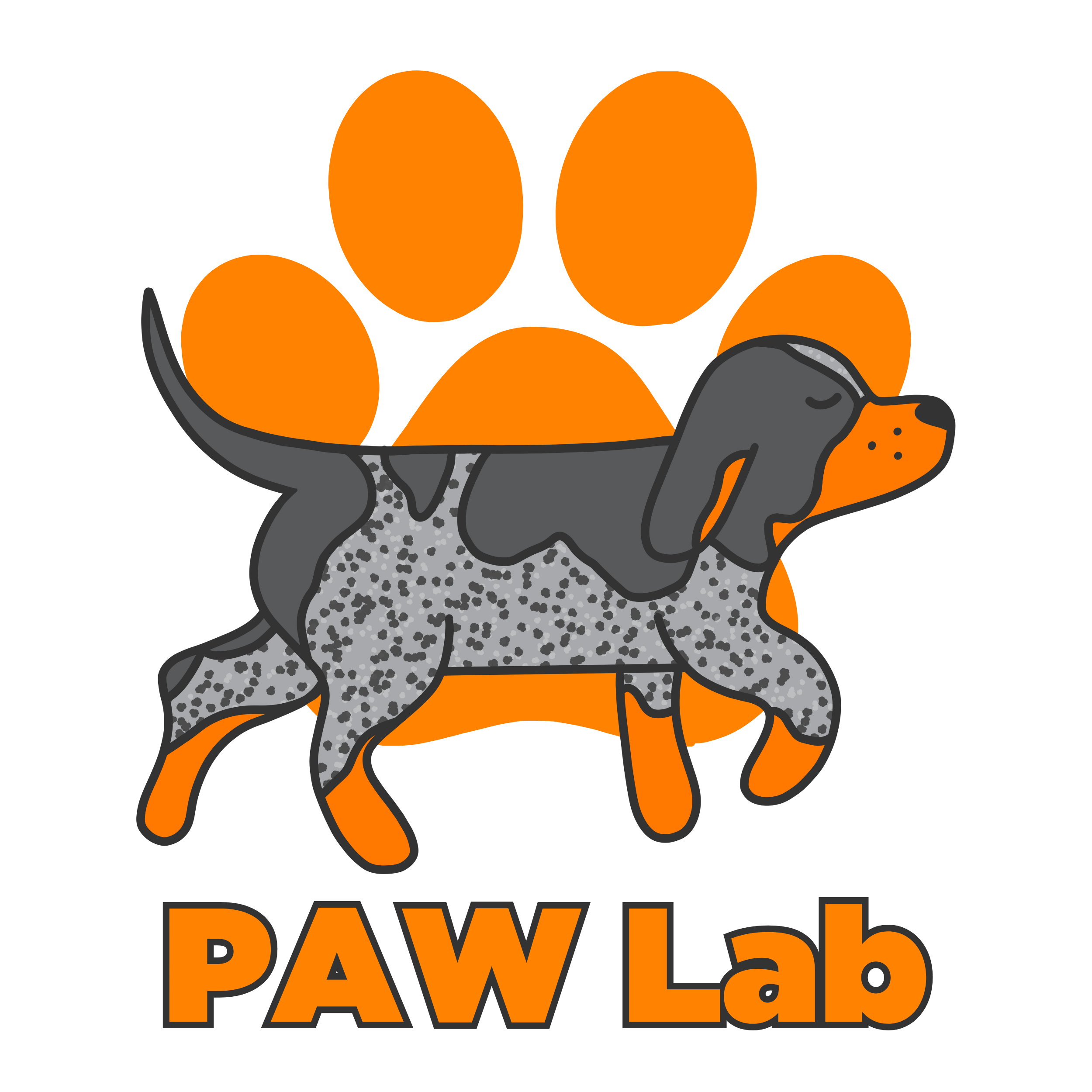 PAW Lab People - Kinesiology, Recreation, and Sport Studies